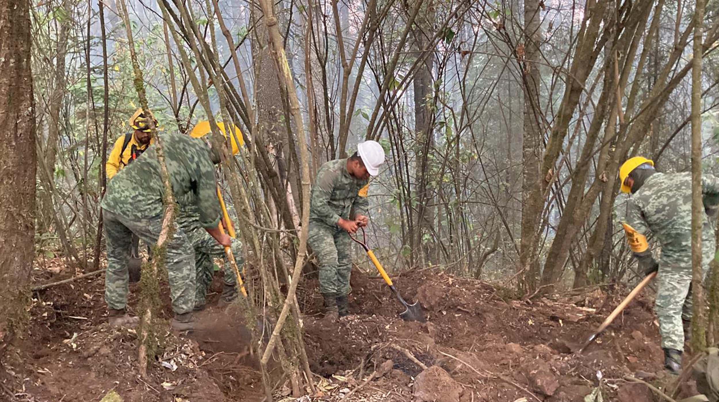 Llaman a evitar incendios forestales en Morelos | Noticias | Diario de Morelos