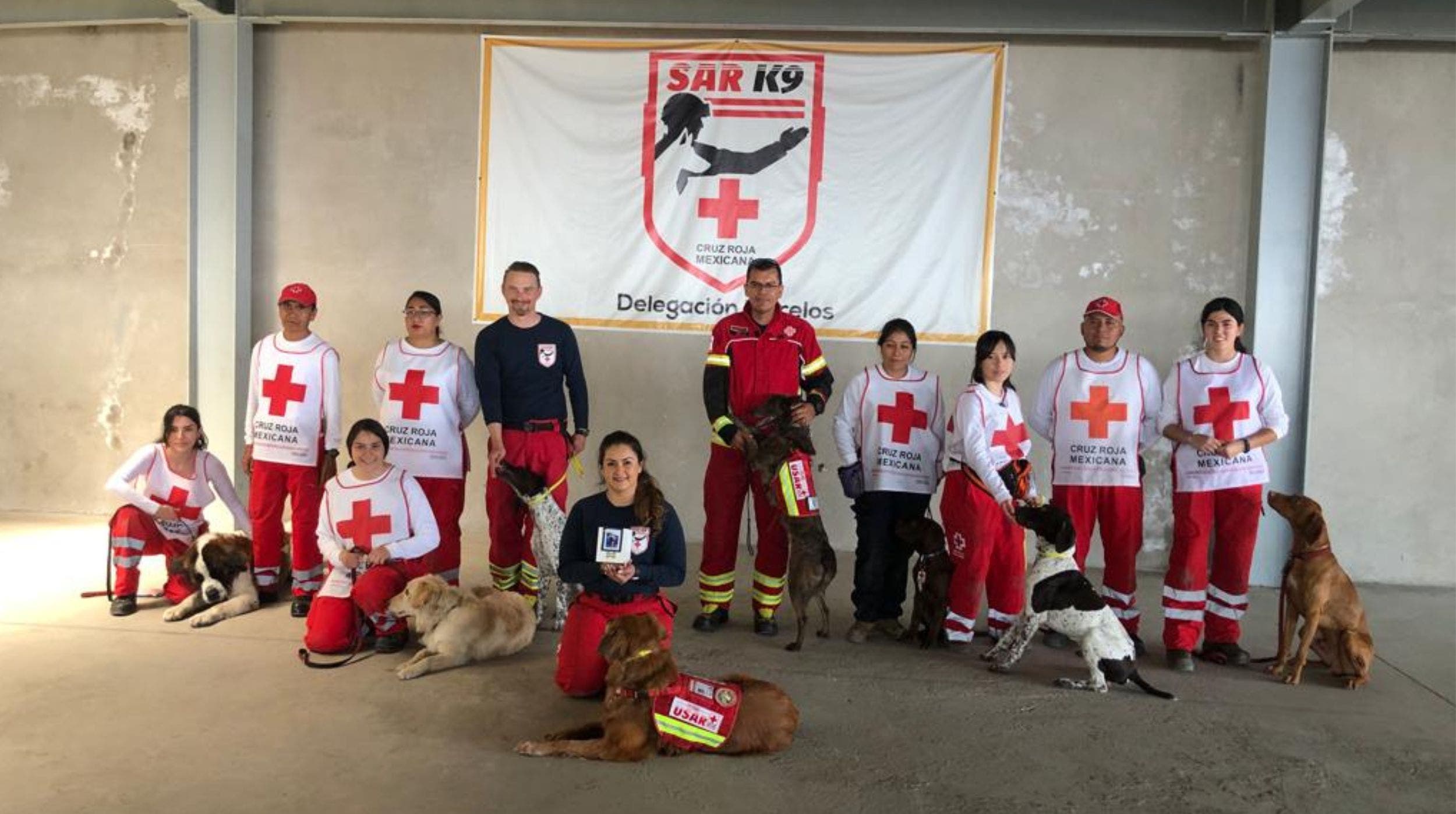 Tienen como objetivo salvar vidas humanas | Noticias | Diario de Morelos