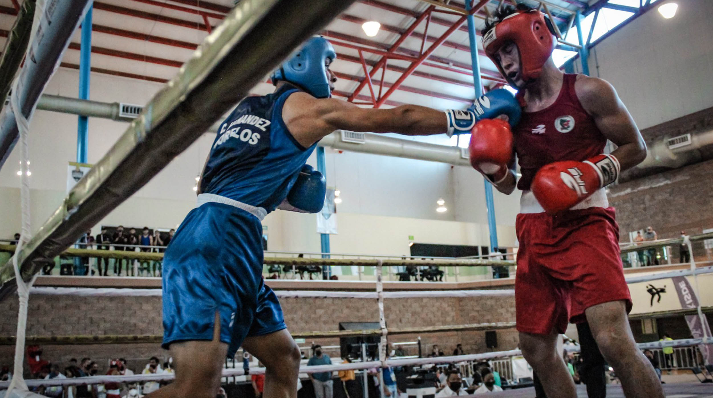 Convocan a filtro estatal para selección morelense de boxeo | Noticias ...