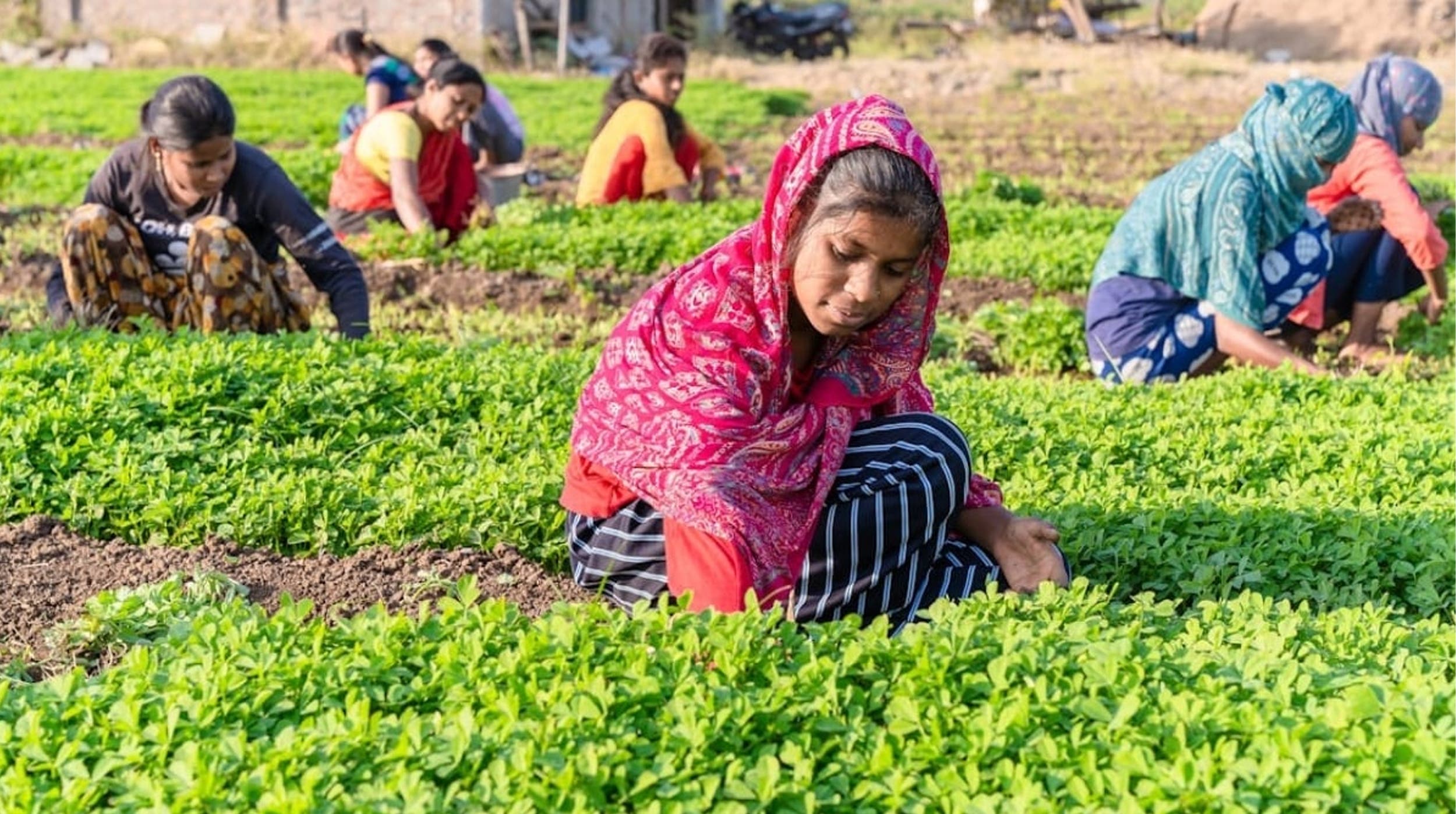 Día Internacional de las Mujeres Rurales: Reconociendo su papel vital ...