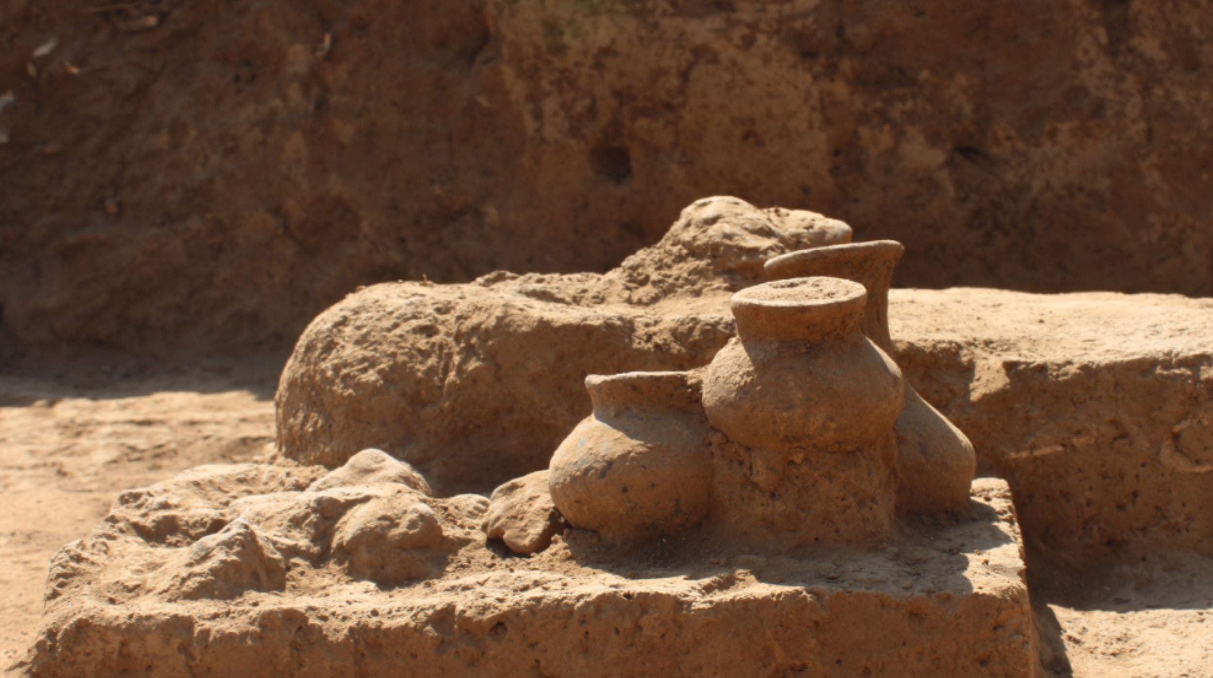 Presentan hallazgo de asentamiento humano | Noticias | Diario de Morelos