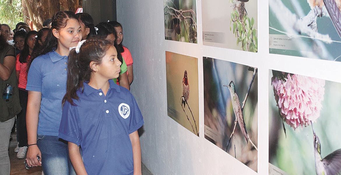 Inauguran exposiciones en Parque Chapultepec sobre biodiversidad ...