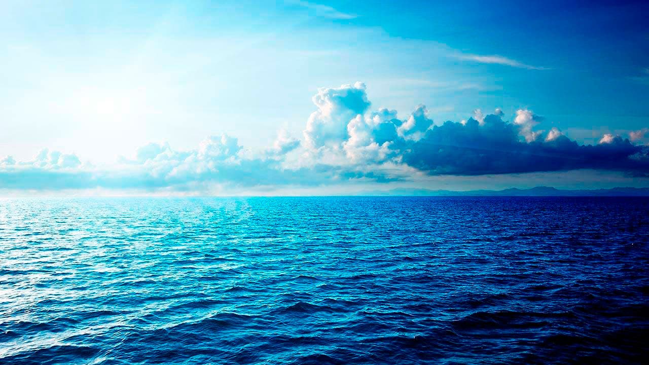 Llaman a proteger los océanos | Noticias | Diario de Morelos