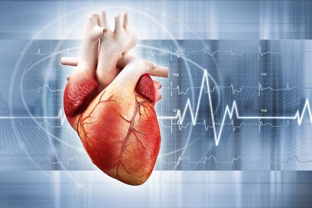 Sabes cuáles son las células encargadas de reparar el corazón tras un ...