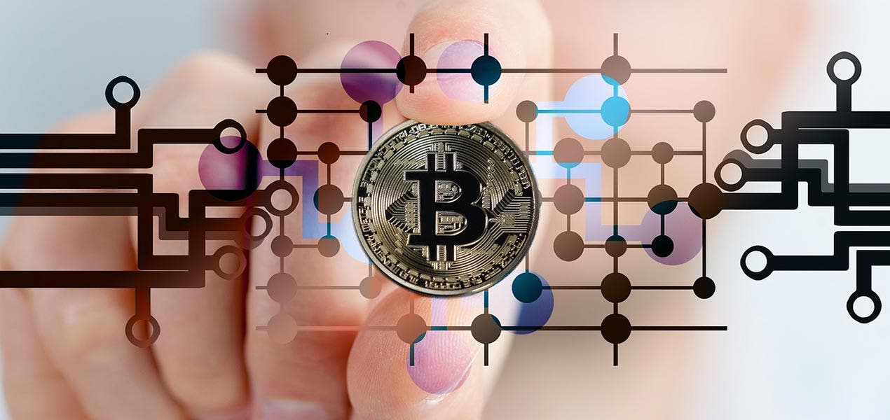 La moneda digital el reto de los estados que aún los usuarios ven lejos ...