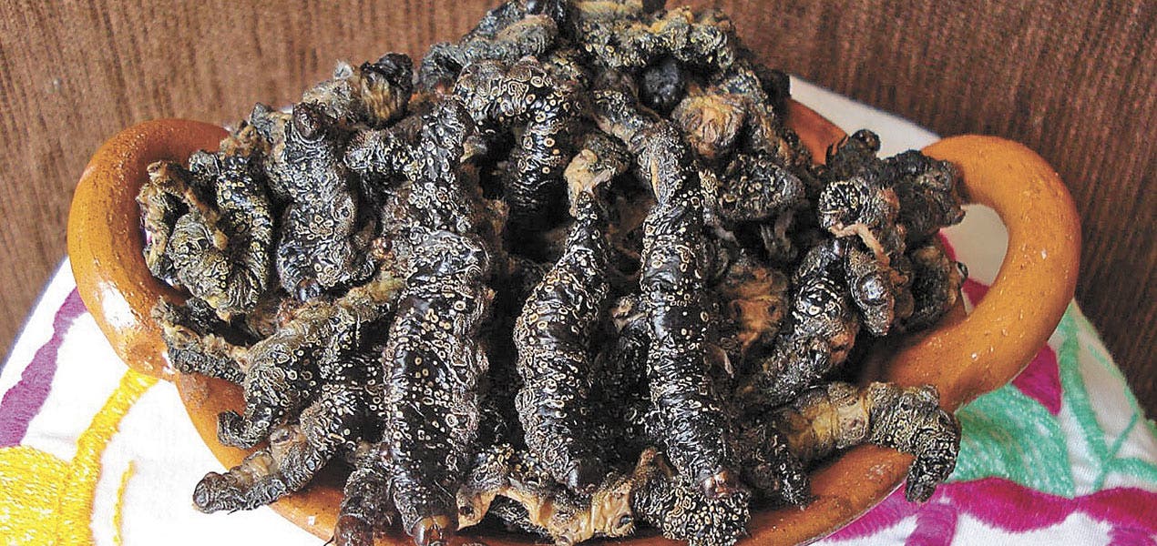 Ingredientes y utensilios prehispánicos que siguen vivos en nuestras ...