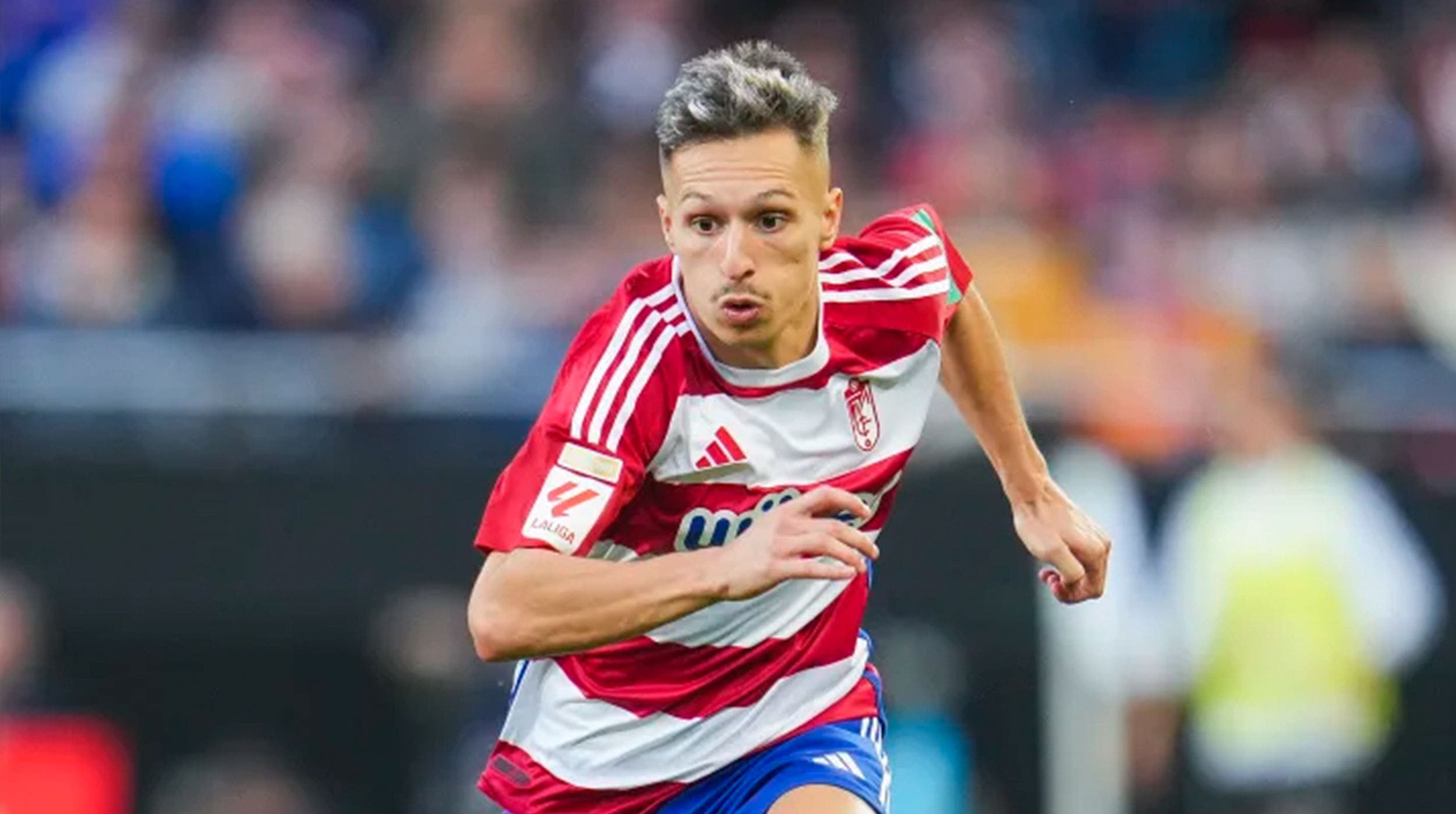 Oficial: Bryan Zaragoza al Bayern Munich | Noticias | Diario de Morelos