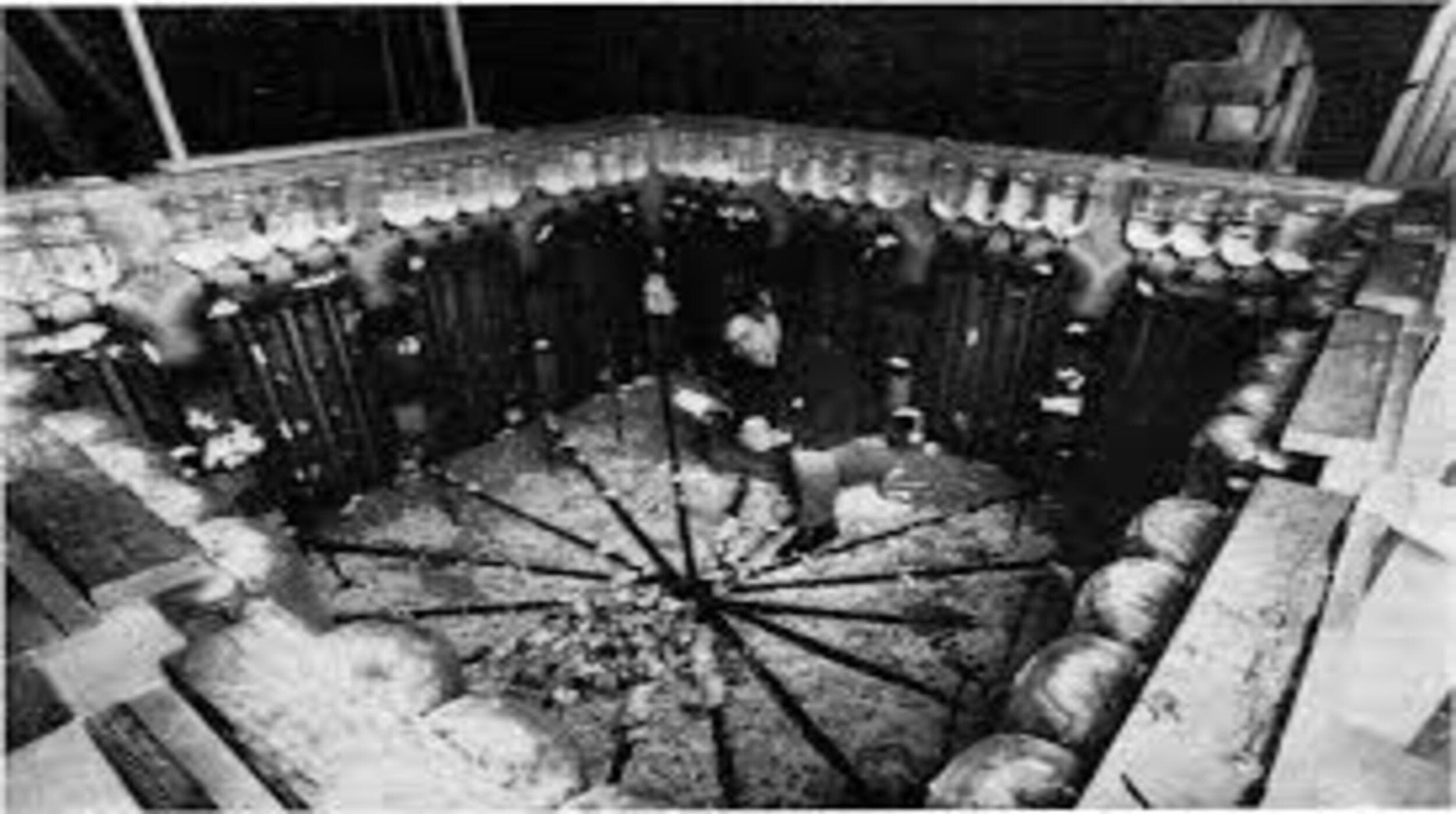 Universo 25: El experimento que reveló el colapso de la sociedad ...