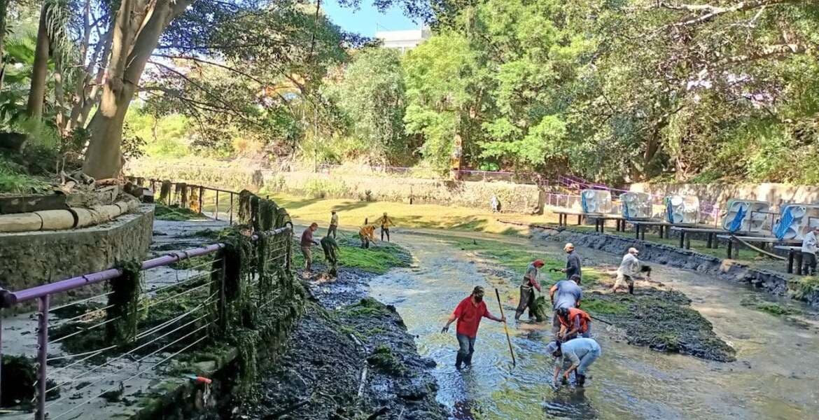 Limpia Parque Barranca de Chapultepec, en Cuernavaca | Noticias ...