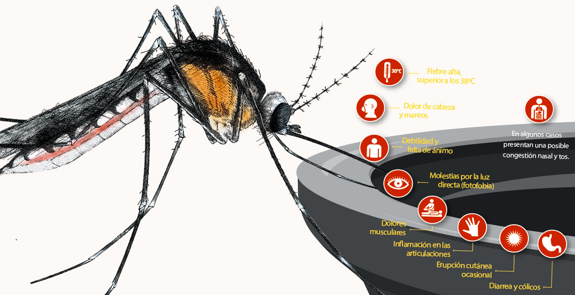Lanzan alerta por virus mayaro | Diario de Morelos