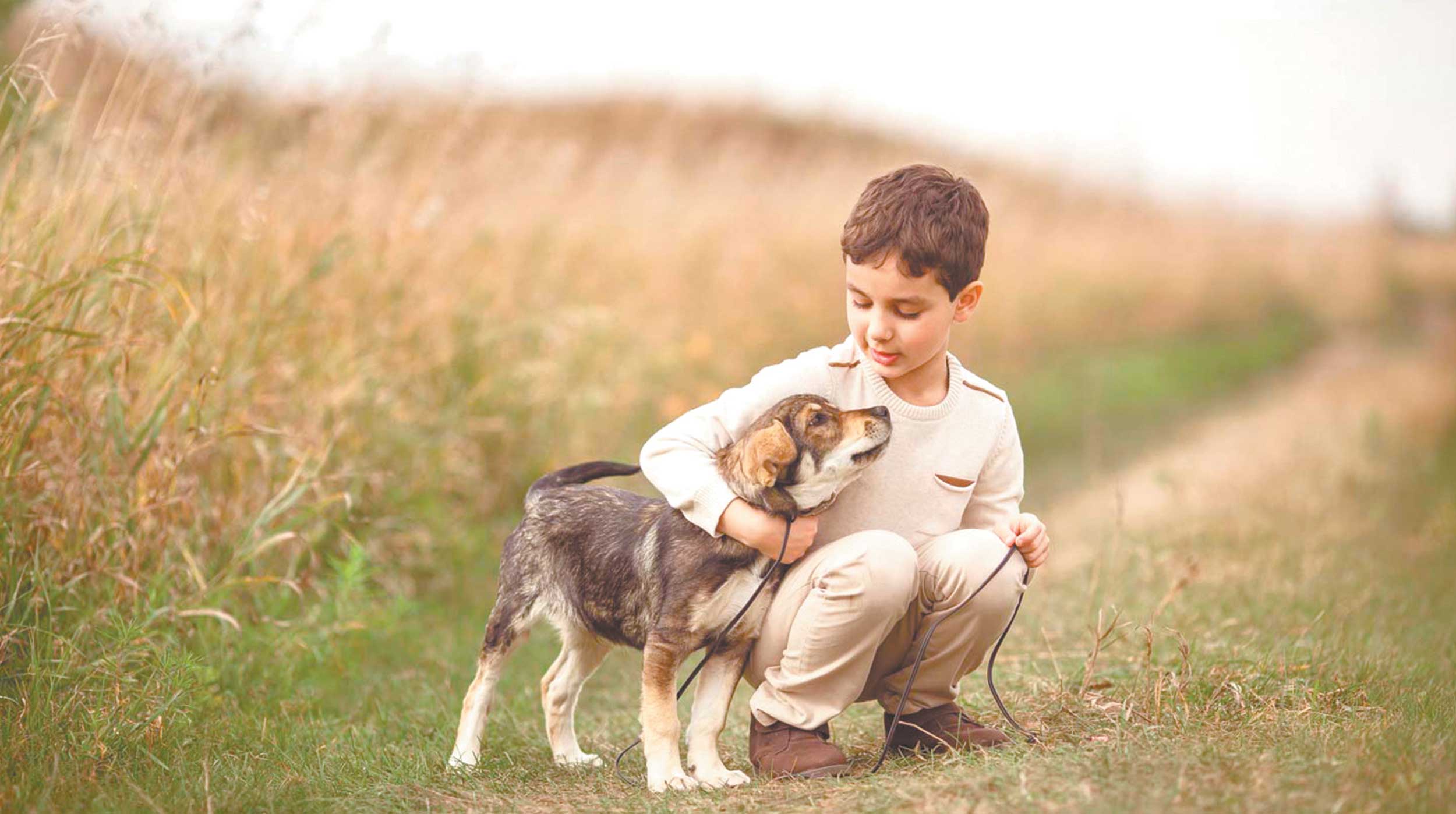 ¿QUIERES TENER UNA MASCOTA? | Noticias | Diario de Morelos