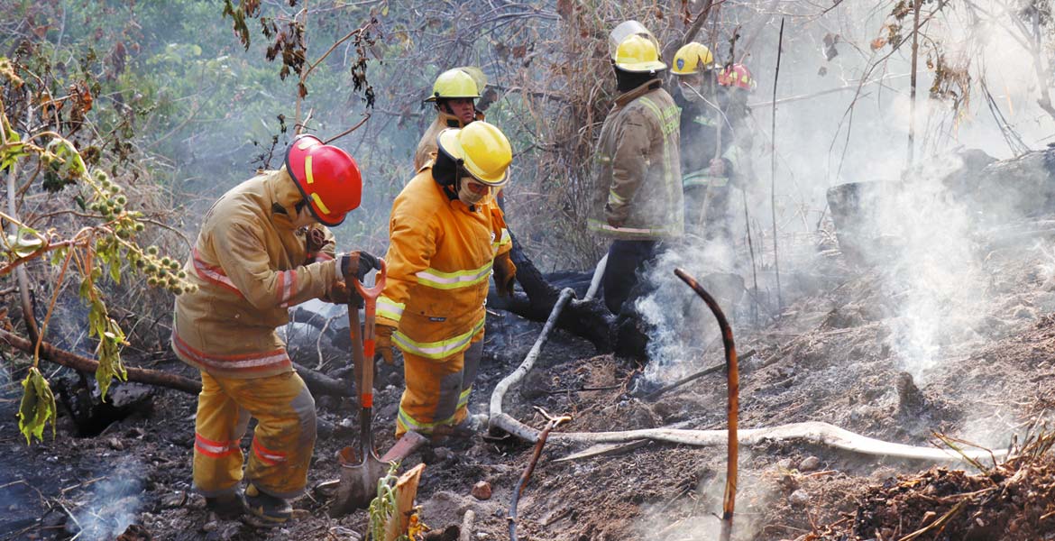 Aumenta número de incendios urbanos | Diario de Morelos