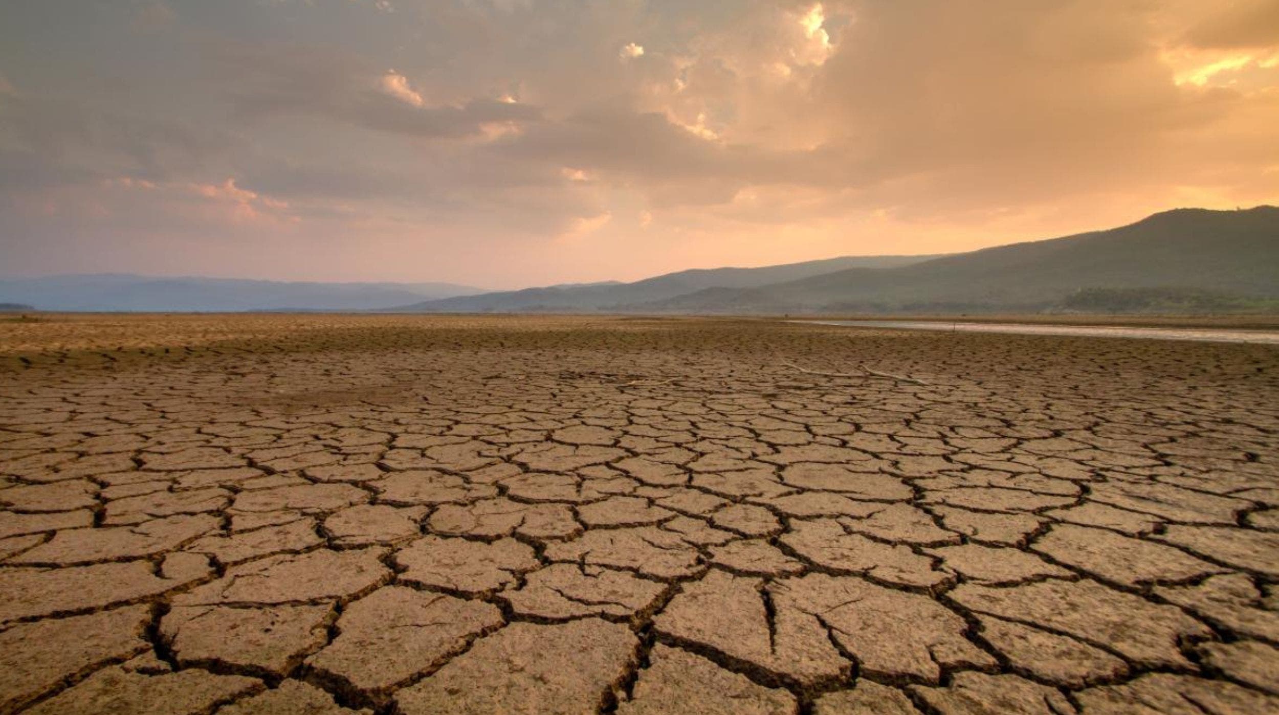 Libraría Morelos la sequía | Noticias | Diario de Morelos