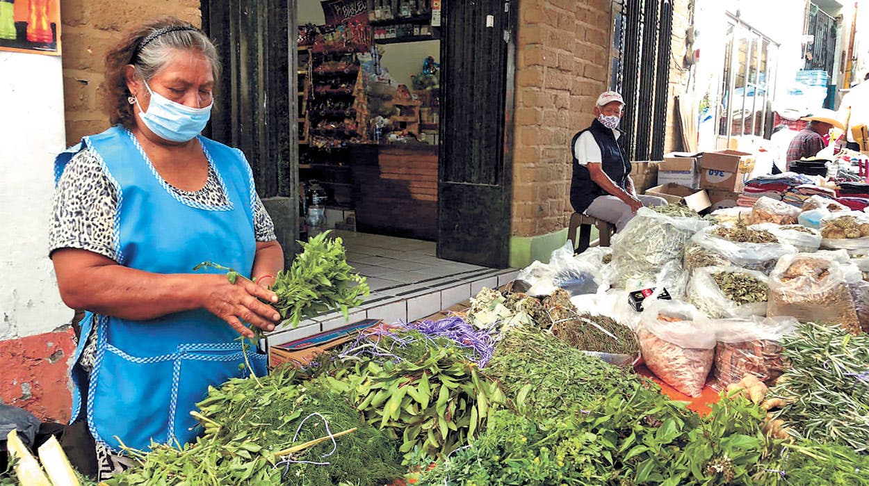 La vejez no es una enfermedad: especialista | Noticias | Diario de Morelos