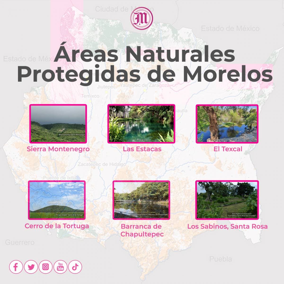 La importancia de la Educación Ambiental ¿Qué papel juega Morelos en ...