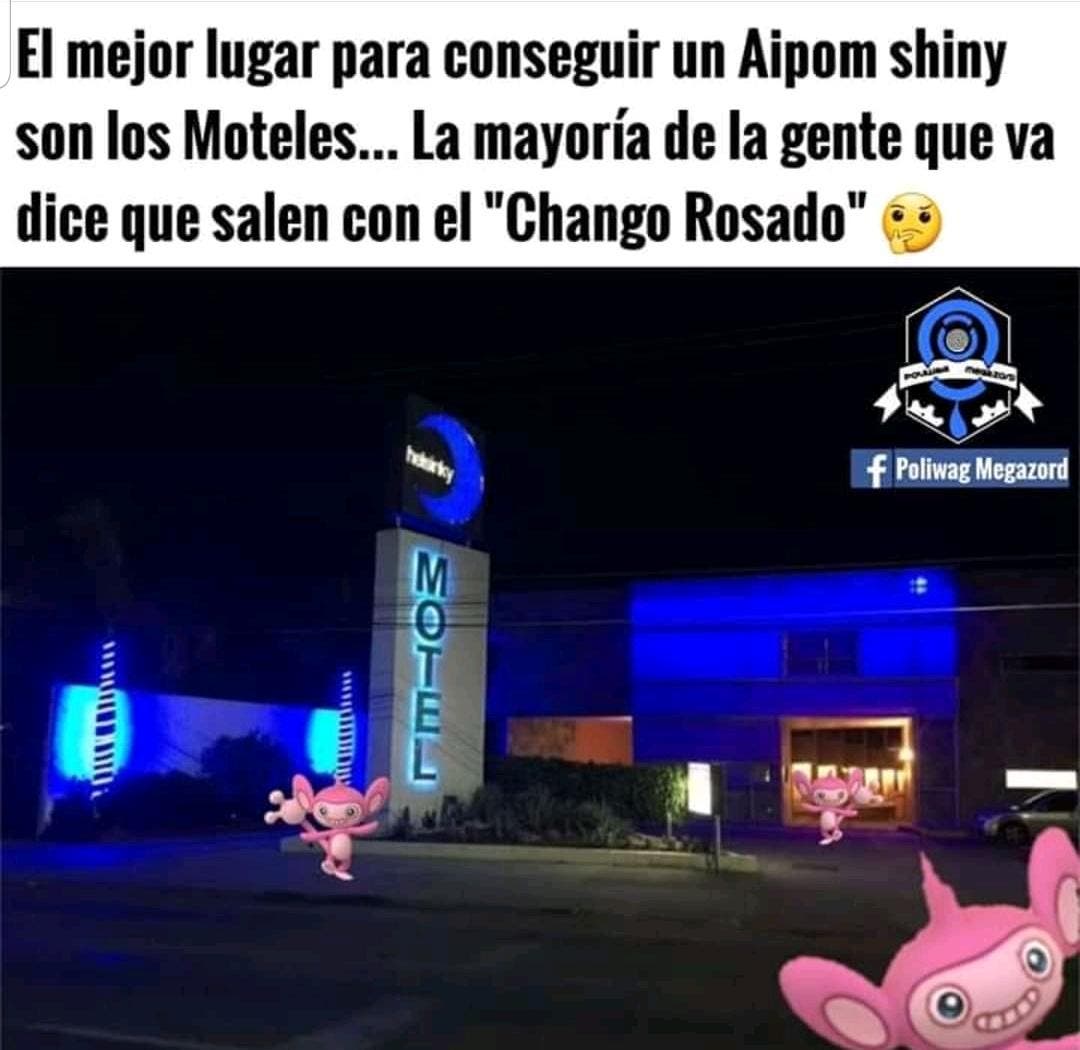 Día Internacional del Chango Rosado, ¿por qué se le conoce así al 15 de febrero? | Diario de ...