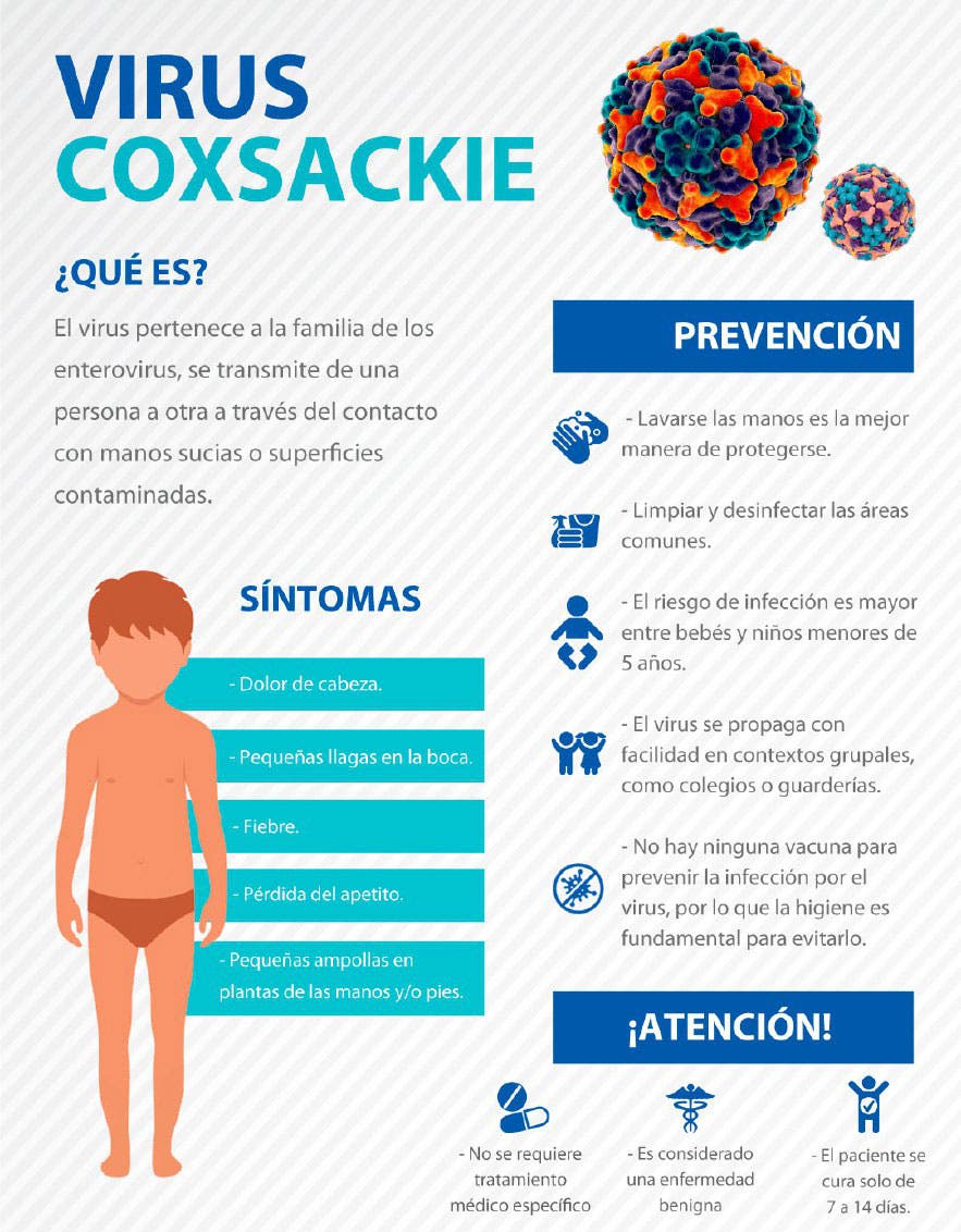 Autoridades emiten alerta por brote de virus coxsackie tras reporte de ...