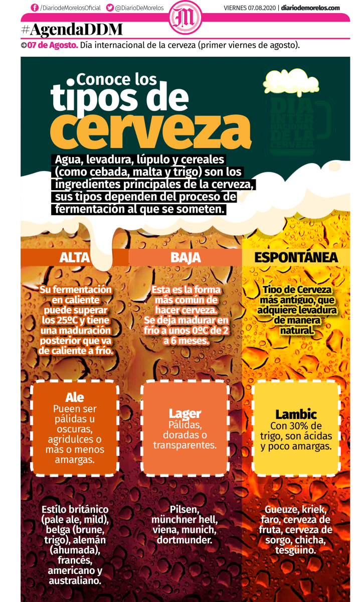 Conoce los tipos de cerveza | Noticias | Diario de Morelos