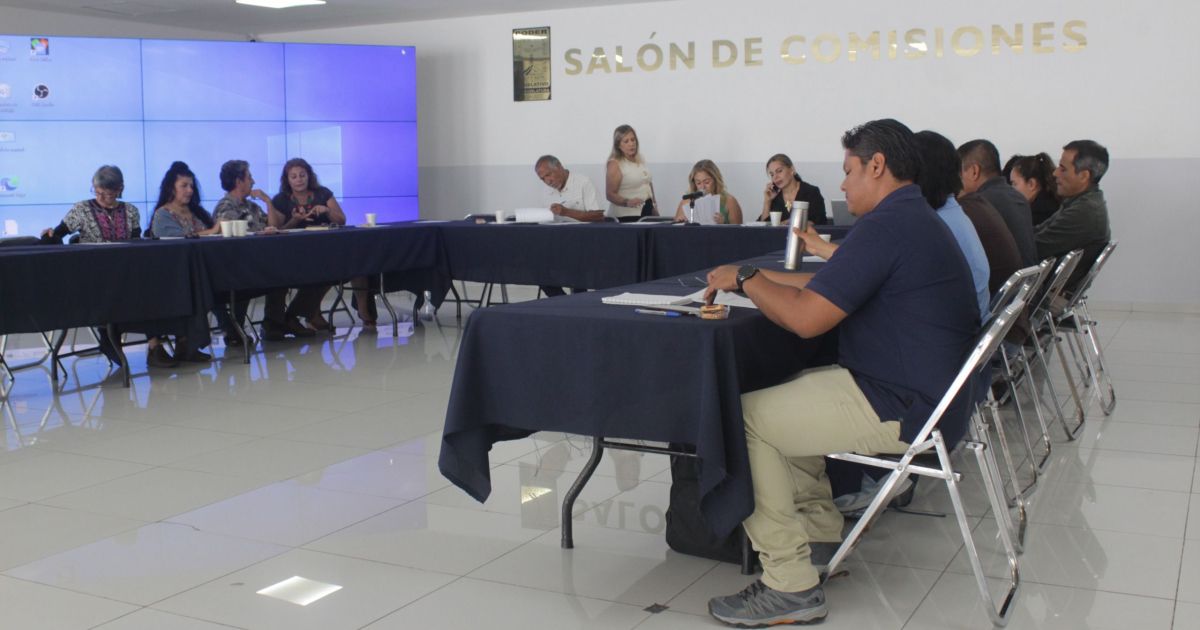 Buscan blindar la selva baja caducifolia en Morelos | DDM