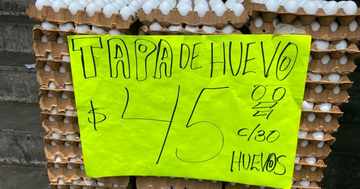 Precio del huevo en Morelos: bajó a 45 pesos pero subirá pronto
