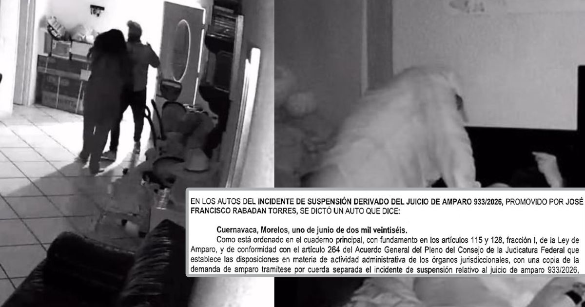 Frena justicia federal captura de José Francisco, presunto agresor de ...