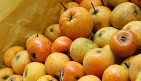5 beneficios del Tejocote: fruta mexicana clásica de navidad